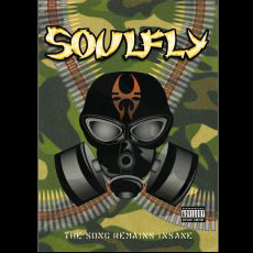 Soulfly - Ritual - die Review zur Platte auf metal.de