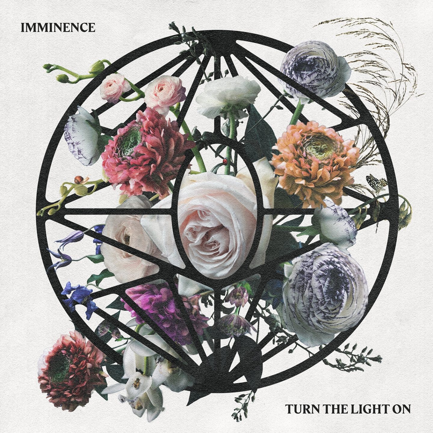 Imminence veröffentlichen "Desolation"-Single • metal.de