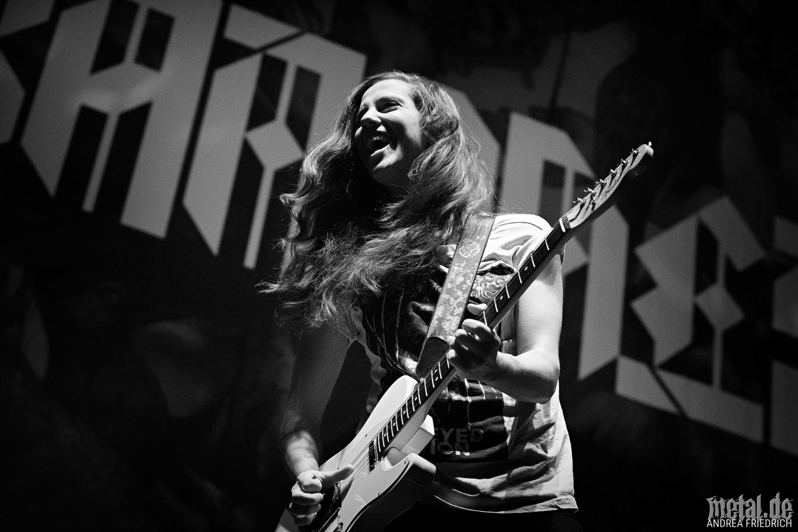 Baroness - The Red Album Review • metal.de