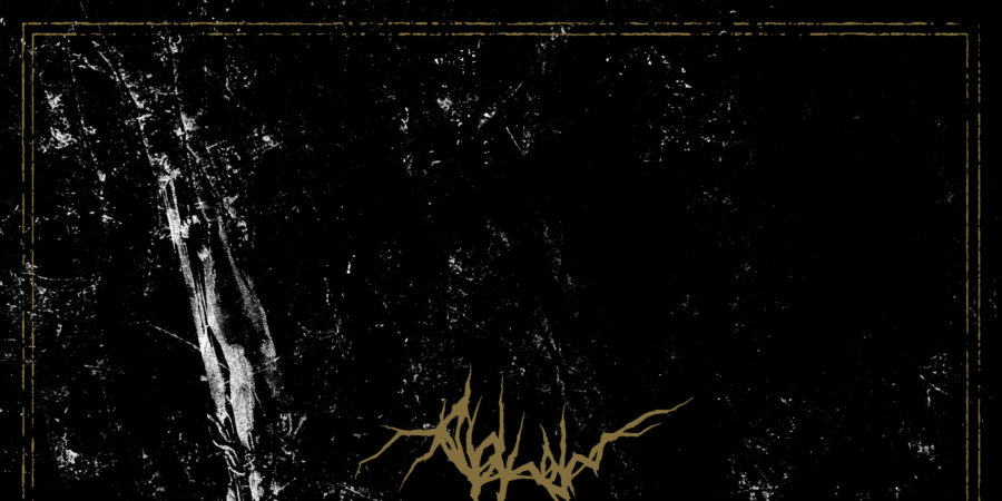 Raw Black Metal • metal.de
